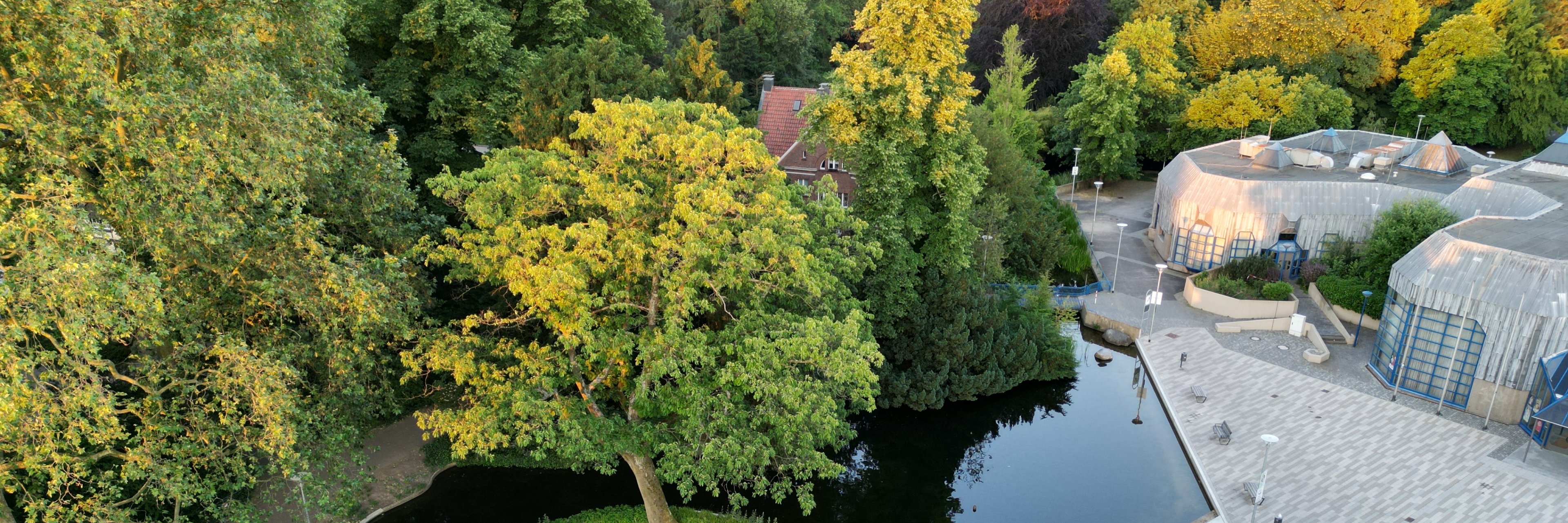 Schilder als Zeichen gegen Gewalt | Stadt Hilden